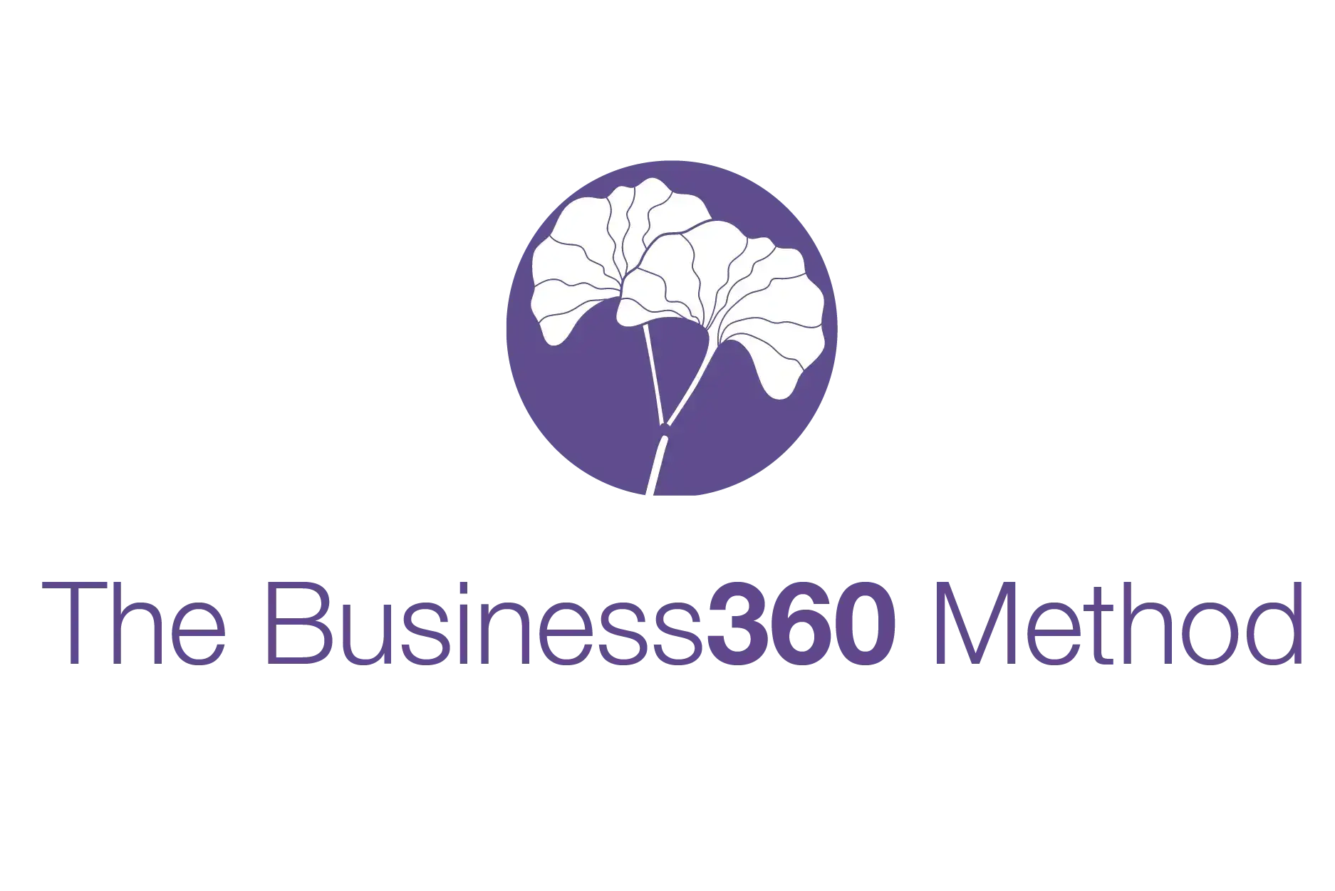 Understanding Your Business360 Diagnostic Results - The Business360 Method